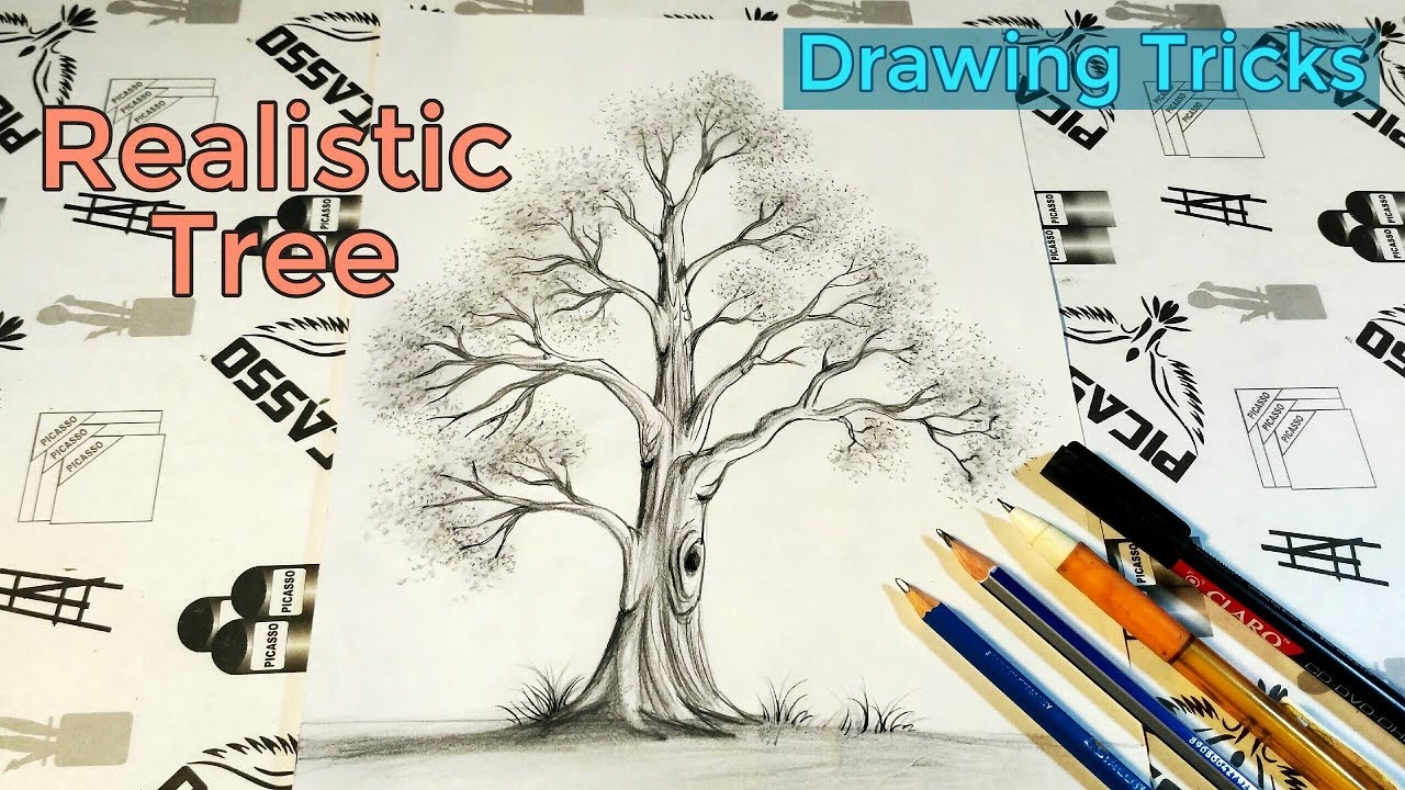 Best trick to draw a Realistic Tree || with pencil || Drawing tutorial ...