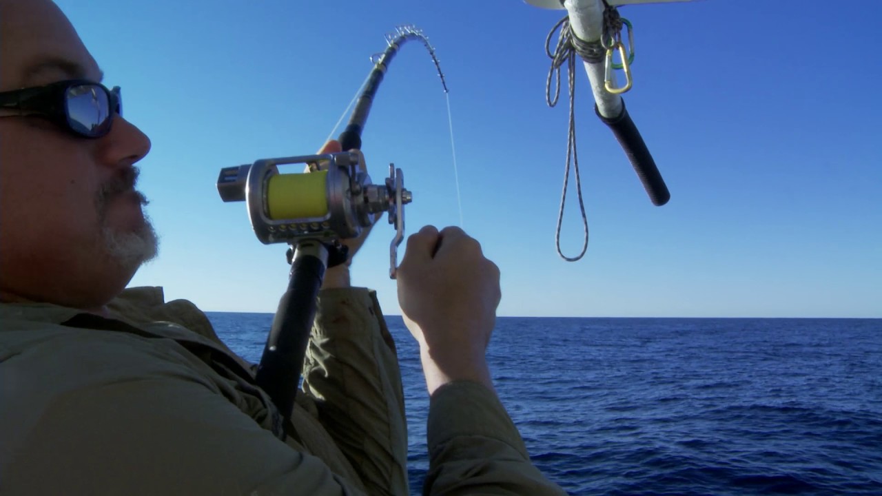 'Sundowners' the Hubbard's Marina pilot film | Deep Sea fishing | http ...