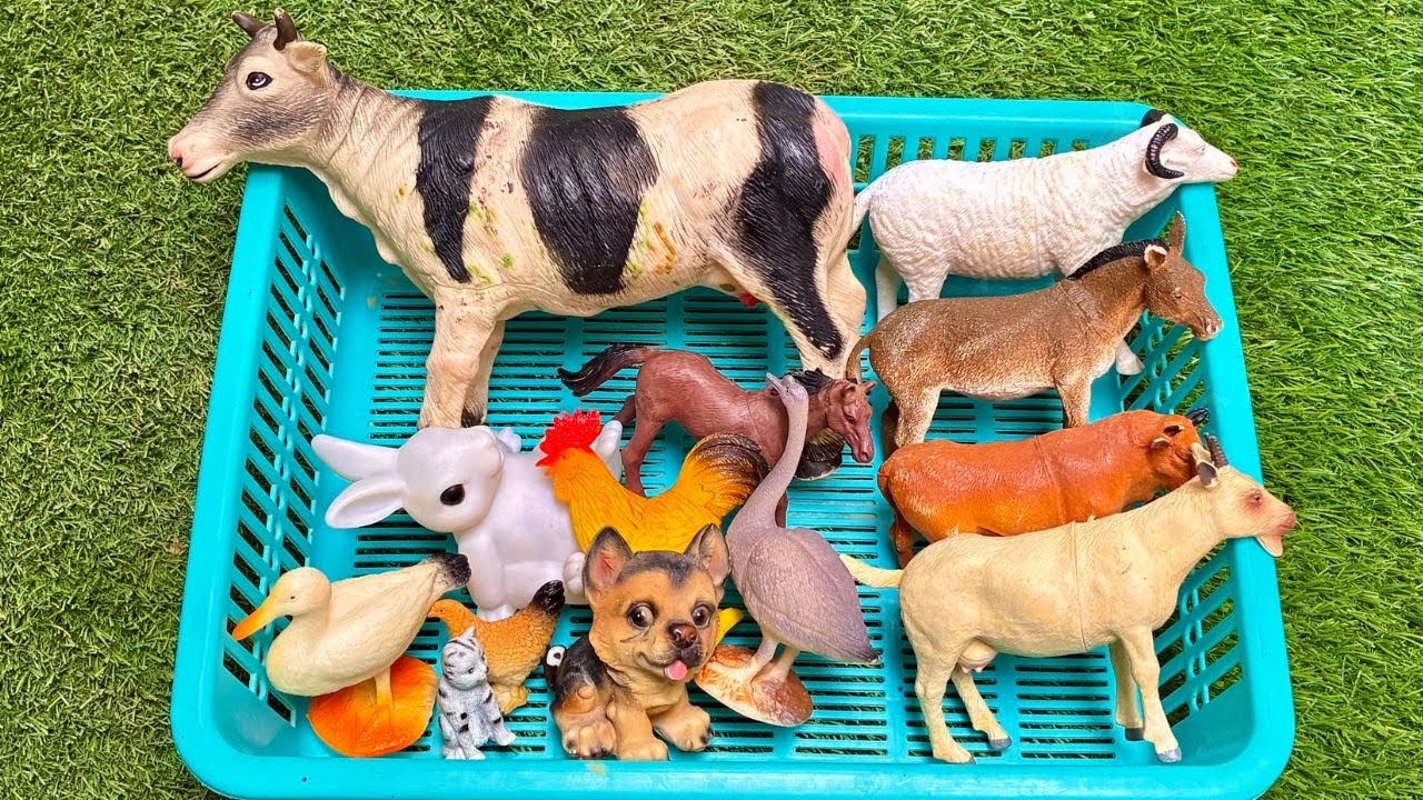 🐮 Farm or Zoo? Guess Where These Animals Live! | Learning Fun Facts for ...