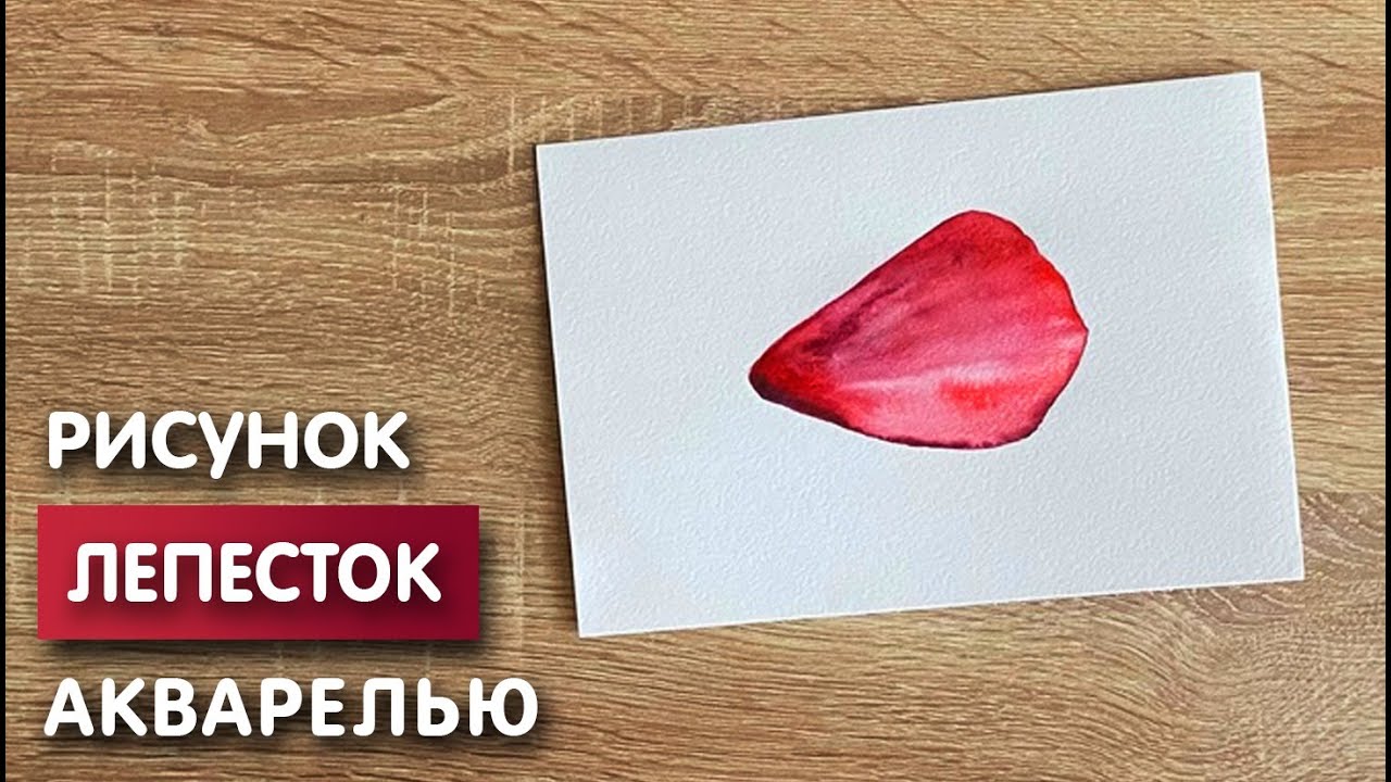 Как нарисовать лепесток цветка карандашом и акварелью начинающим Рисунок для детей Youtube