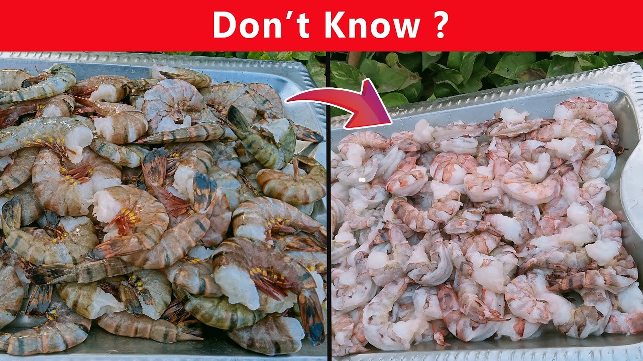 how to wash prawns and remove smell | झींगा मछली को साफ करने का सही ...