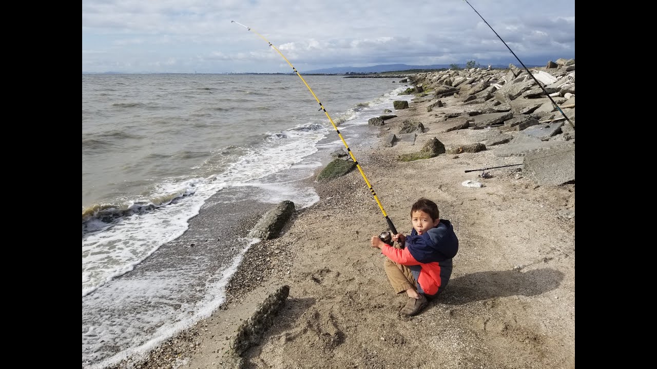 EPIC Bat Ray and Shark Fishing Day, San Francisco Bay - YouTube