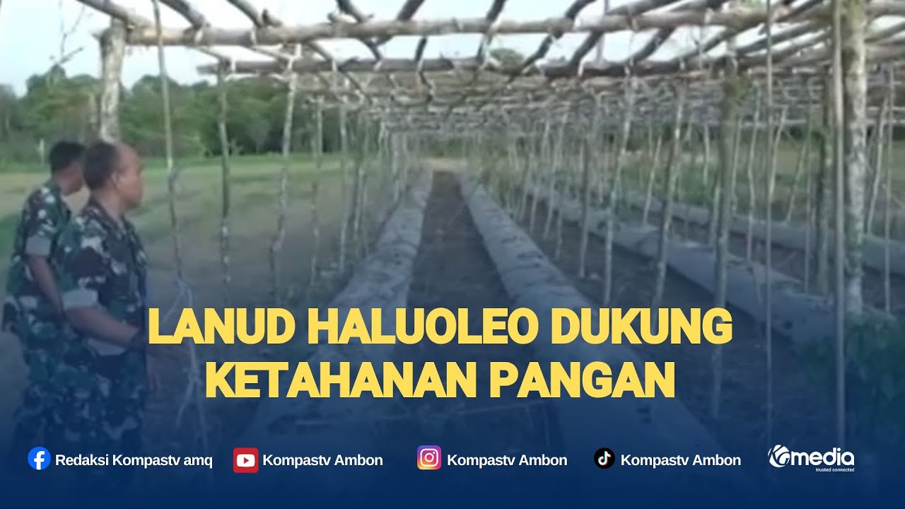 Buka Lahan Pertanian, Lanud Haluoleo Dukung Ketahanan Pangan - YouTube