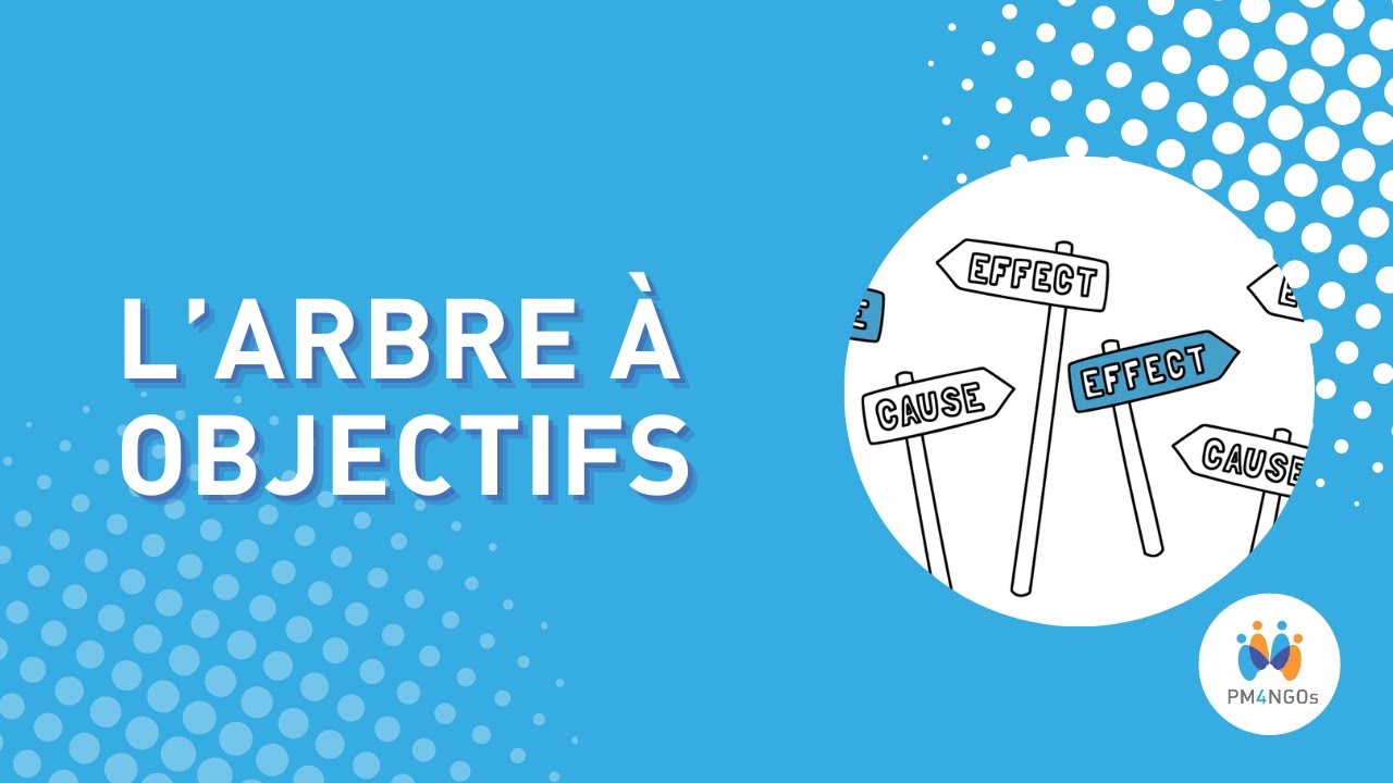 L’arbre à objectifs: Project DPro (PMD Pro) - YouTube