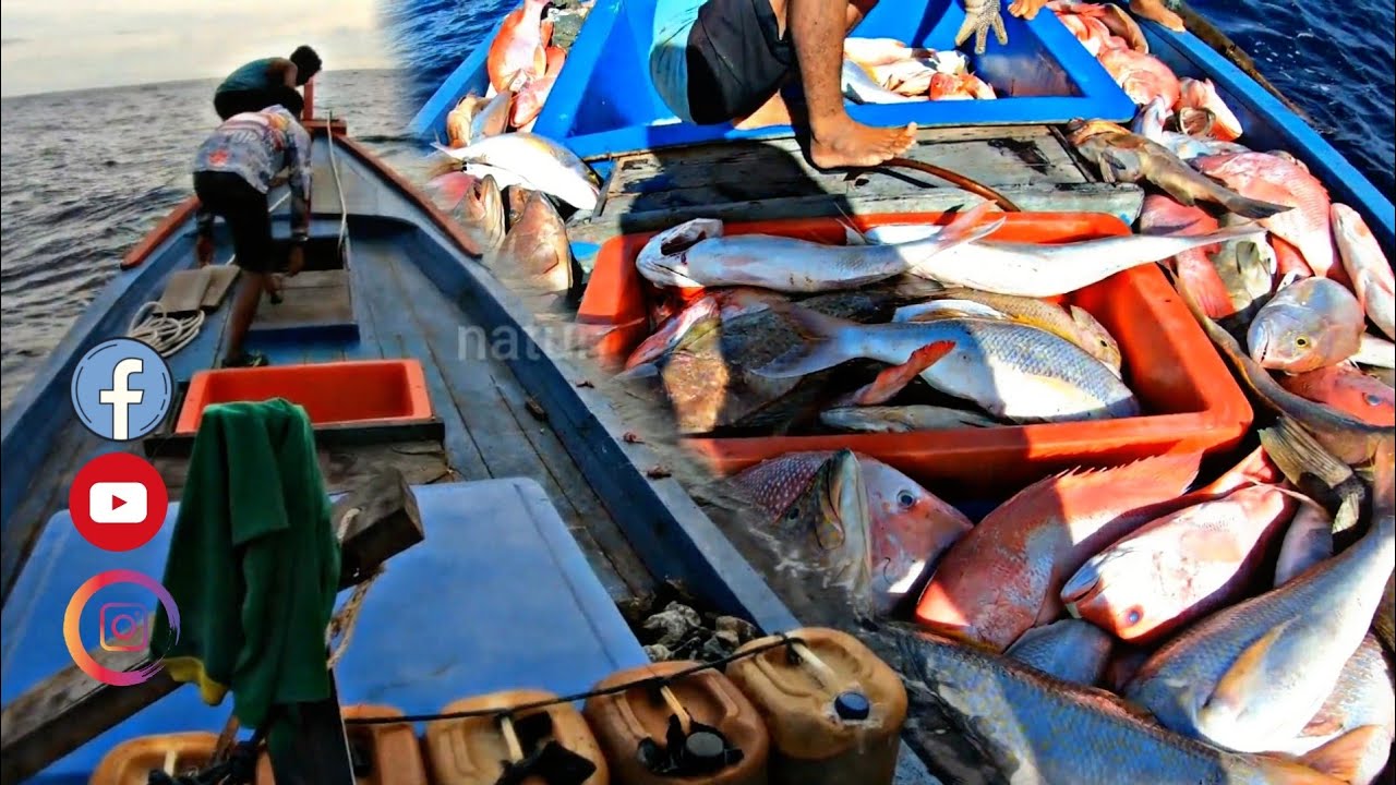 Luar biasa bisa dapat banyak ikan besar Begini jika lokasi mancing ...