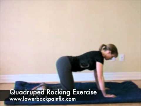 Low Back Rehab Quadruped Rocking - YouTube