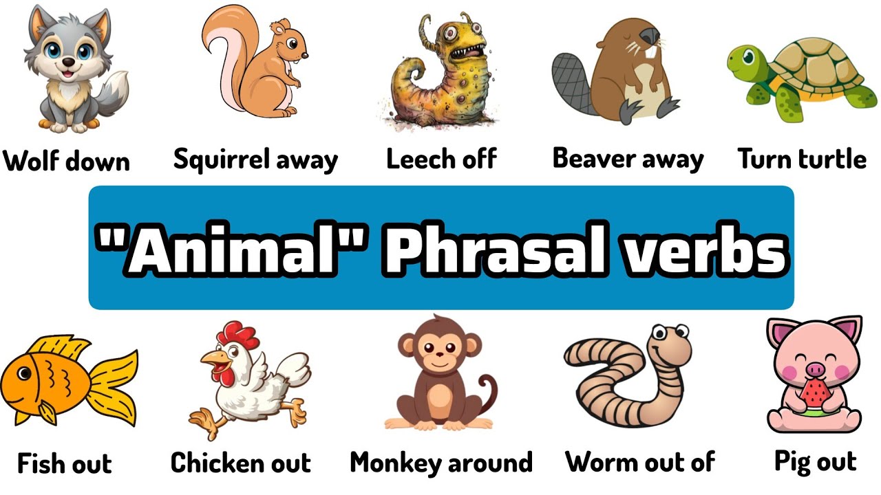 Animal phrasal Verbs you MUST KNOW ‼️ | English Vocabulary - YouTube