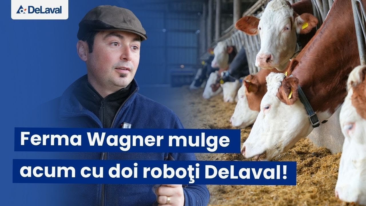 Ferma Wagner mulge acum cu doi roboţi DeLaval! #robotdemuls - YouTube