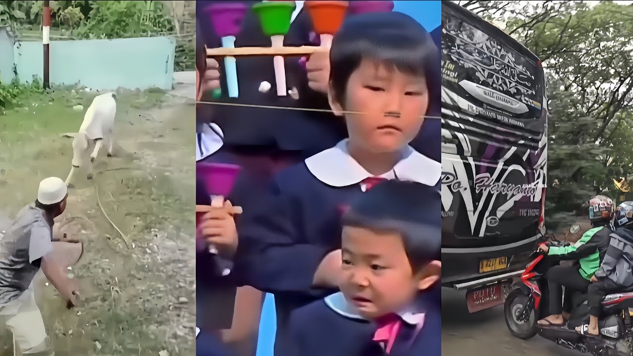 udah mukul, gk ngerasa bersalah lagi🗿KUMPULAN VIDEO MEME RANDOM VIRAL ...