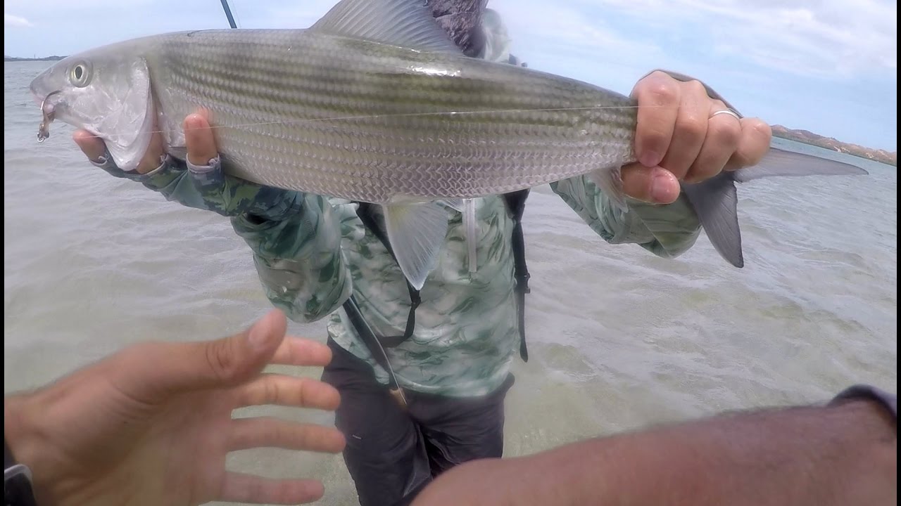 Fly fishing for Bonefish in New Caledonia - YouTube