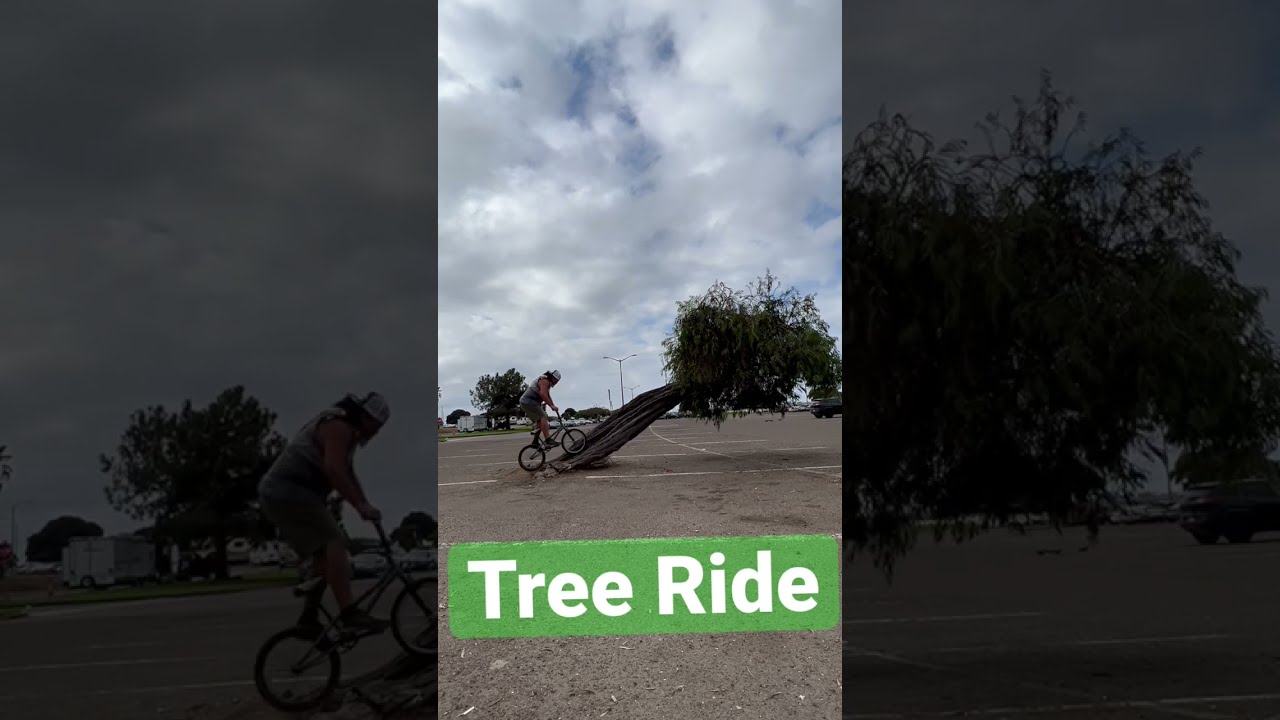 Tree Ride! Meet the Street! - YouTube