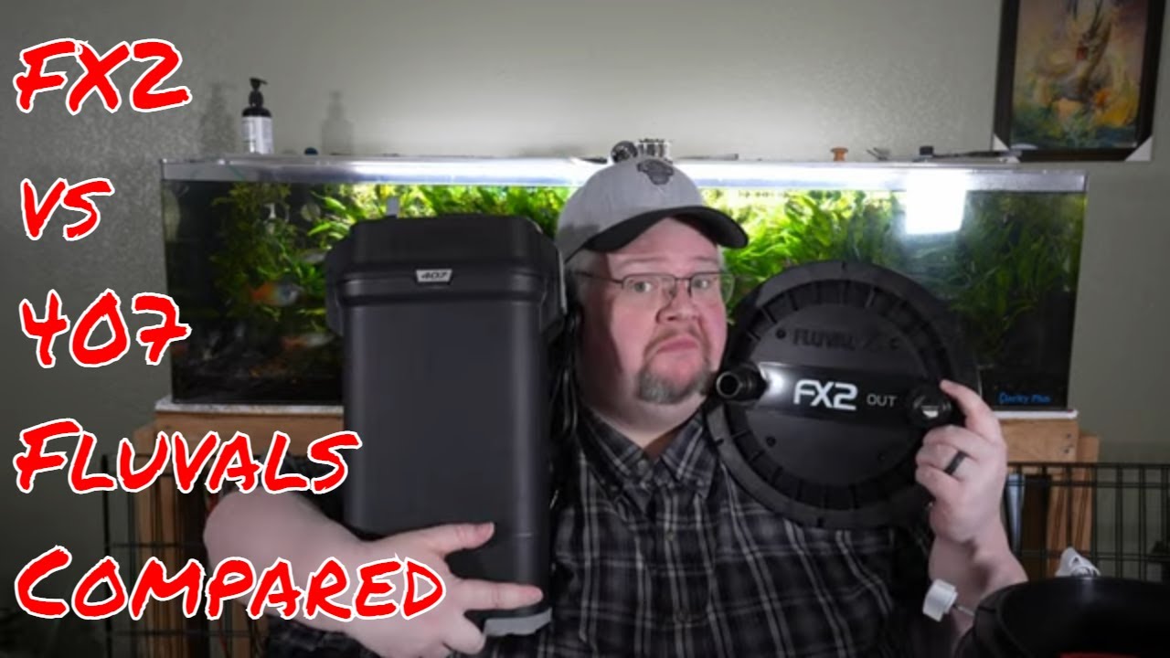 fluval-fx2-vs-407-comparison-what-is-the-difference-youtube