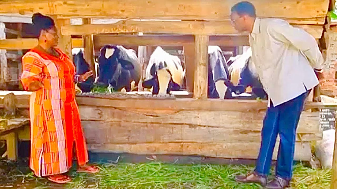 MAFANIKIO YA UFUGAJI WA NG’OMBE - PART 2 - YouTube