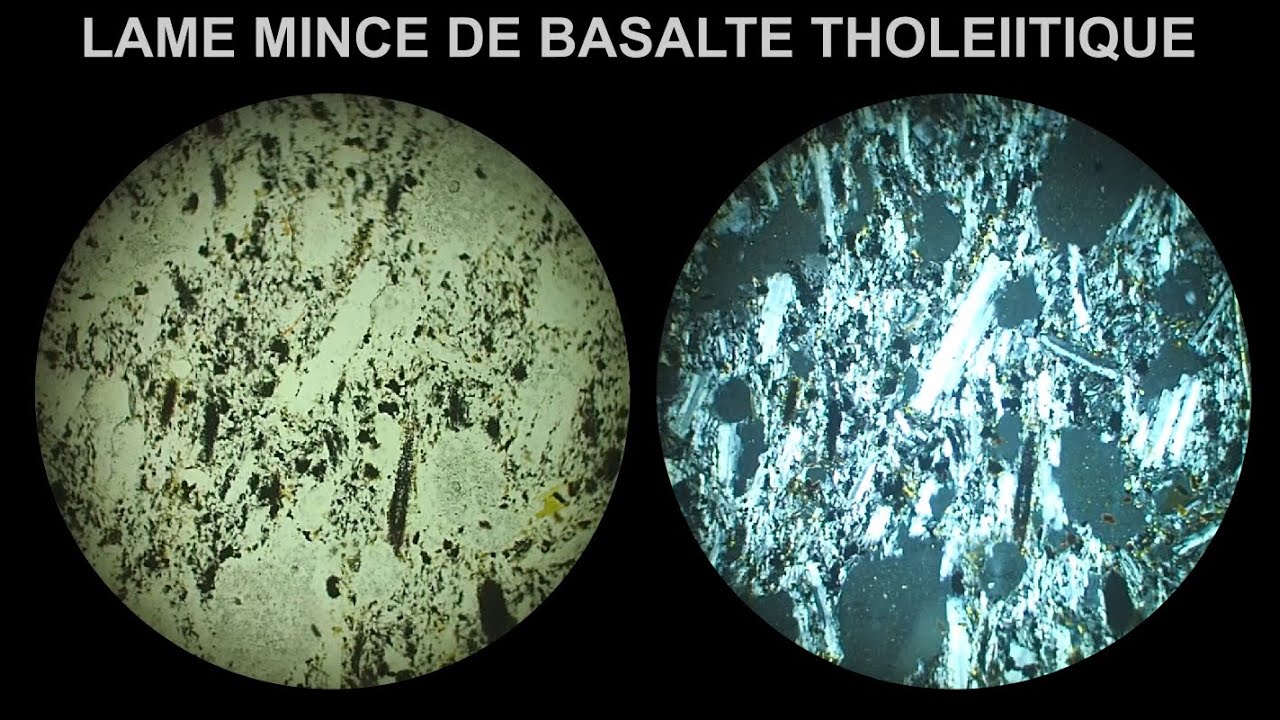Basalte tholéiitique MORB Immersion 360° LPnA vs LPA x40 - YouTube
