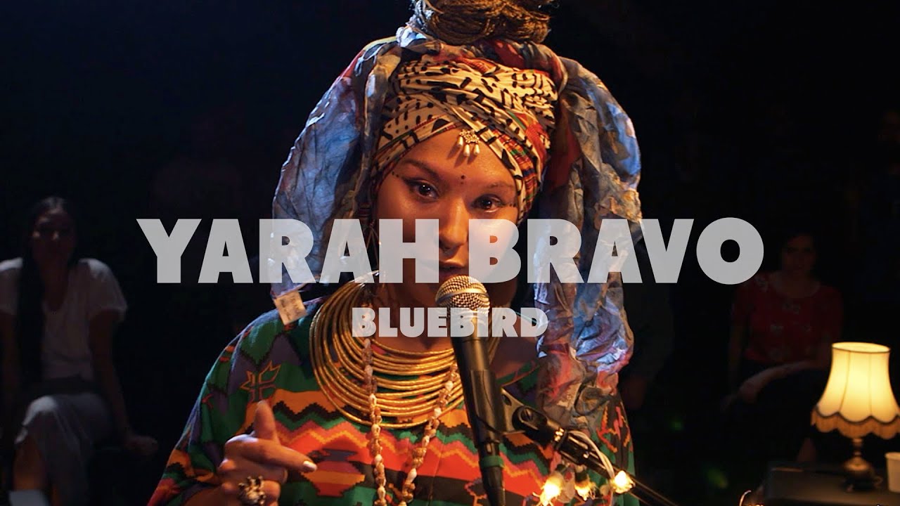 Yarah Bravo - Bluebird | Live at Music Apartment - YouTube