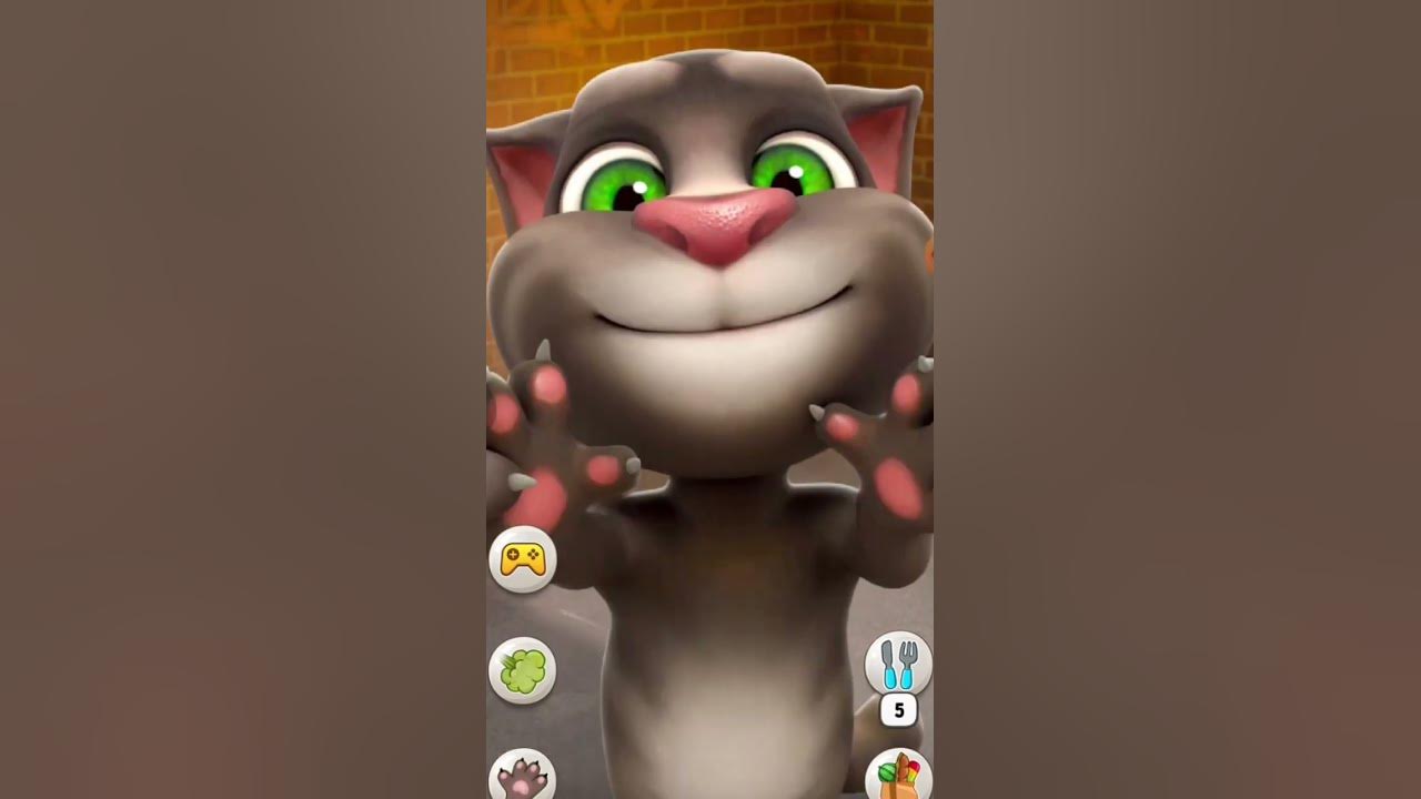 Talking Tom Cat 🦝🐺🐈🦮🐈‍⬛🐅🐕🦊🐶🐕‍🦺🐩🐯🐆🦁 Youtube