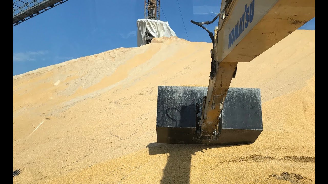 How Corn Piles are Made and Picked up - YouTube