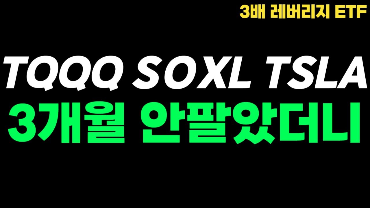 TQQQ SOXL 테슬라(TSL3) 3개월 동안, 팔지 않았더니... 일어난 일. (3배 레버리지 ETF, 평가금액 3200만원 증가) - YouTube
