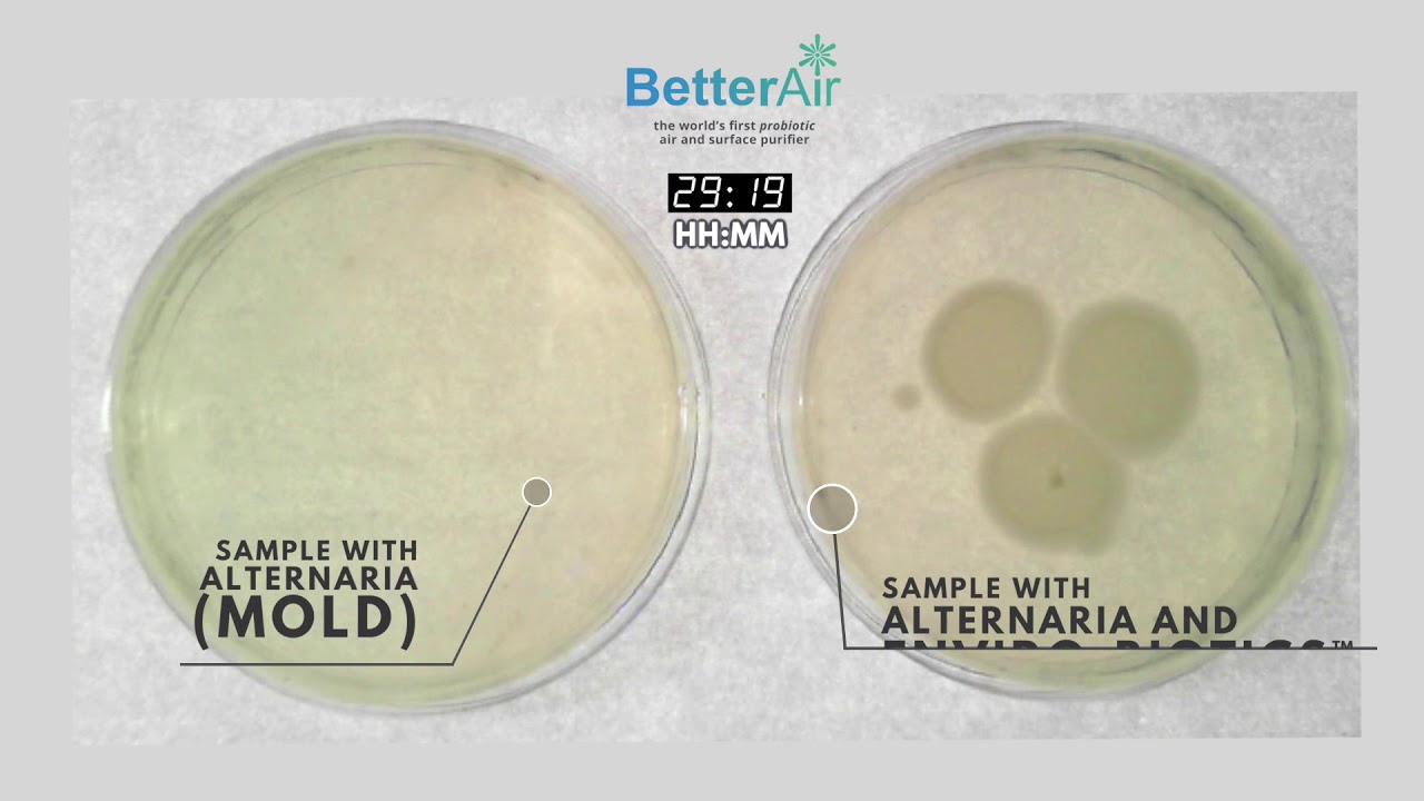 Eviro-Biotics In Action - YouTube