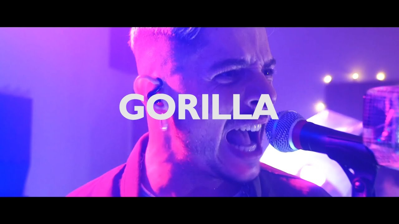 LA SESSION : ZE GRAN ZEFT - Gorilla (Live) #3 - YouTube
