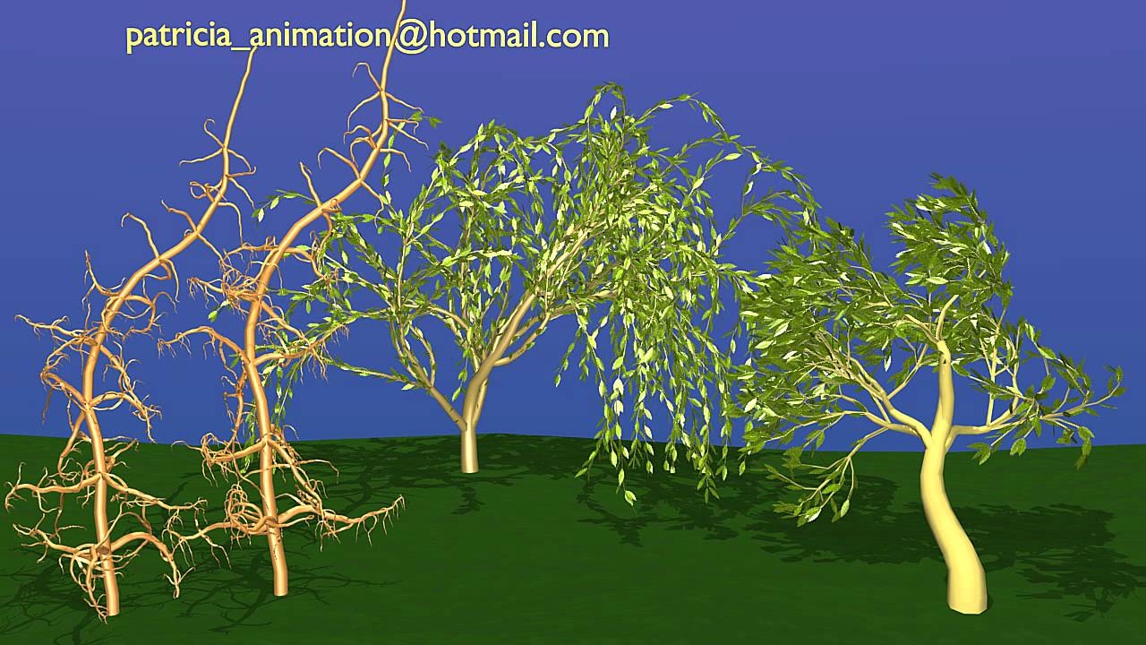 Animated 3D Tree Animated Roots - YouTube