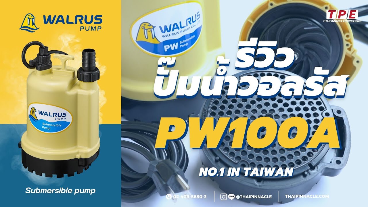 Walrus รีวิว EP.20 ปั๊มไดโว่ รุ่น PW100A│Review Submersible Pump , PW-A Series - YouTube