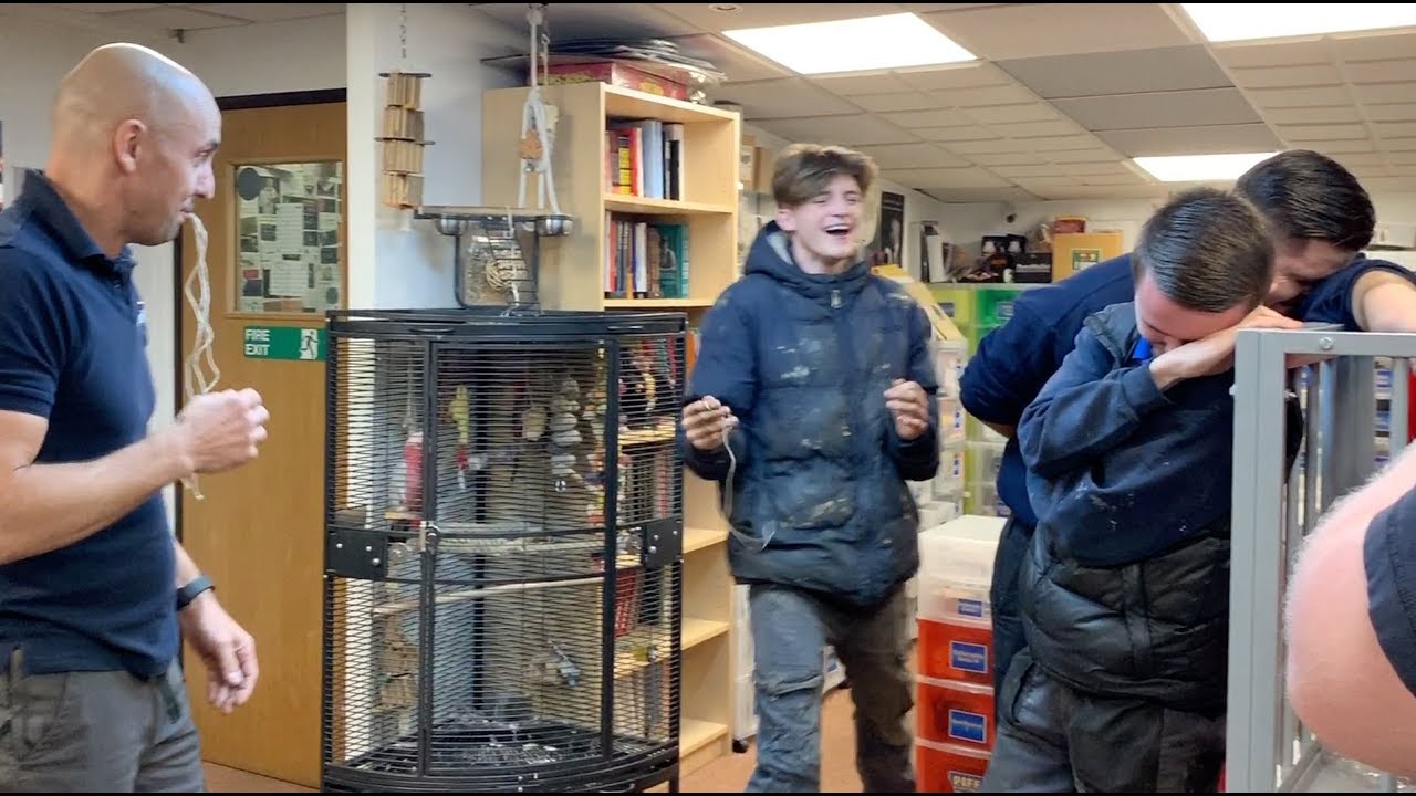 A performance of Hook by Eric Ross in the PropDog Magic Shop - YouTube