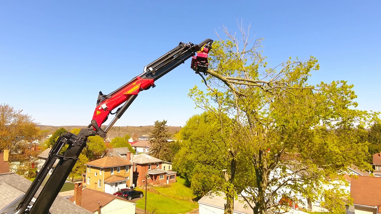 The Mechanized Tree Removals Continue - YouTube