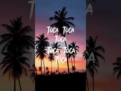 Fly protect Toca Toca (lyrics)