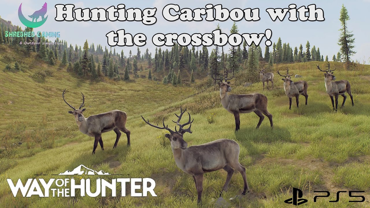 Hunting caribou with the crossbow! | Way of the Hunter PS5 - YouTube