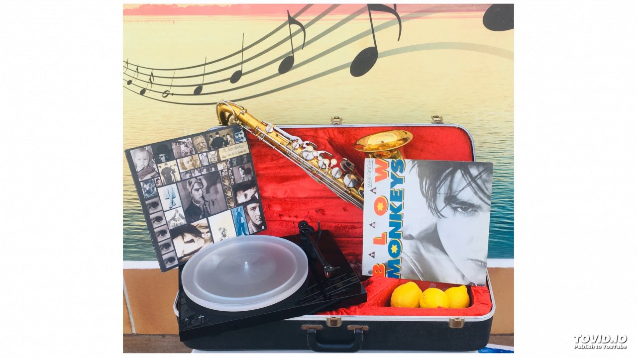 The Blow Monkeys - Digging your scene (12" vinyl) - YouTube