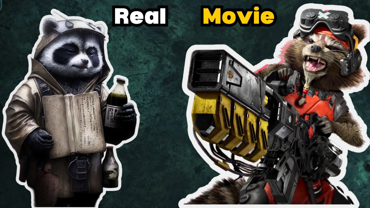 Rocket Japanese Mythology se Inspired hai?? / Tanuki mythology ...