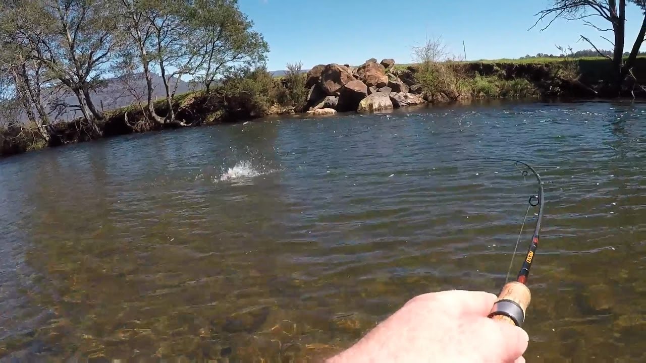 Spinning for Trout with Hardbody lures. - YouTube