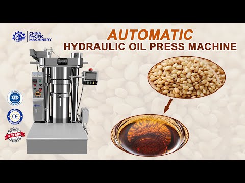 Sesame Oil Extraction|Sesame Seed Pressing Machine|Sesame Oil Expeller ...