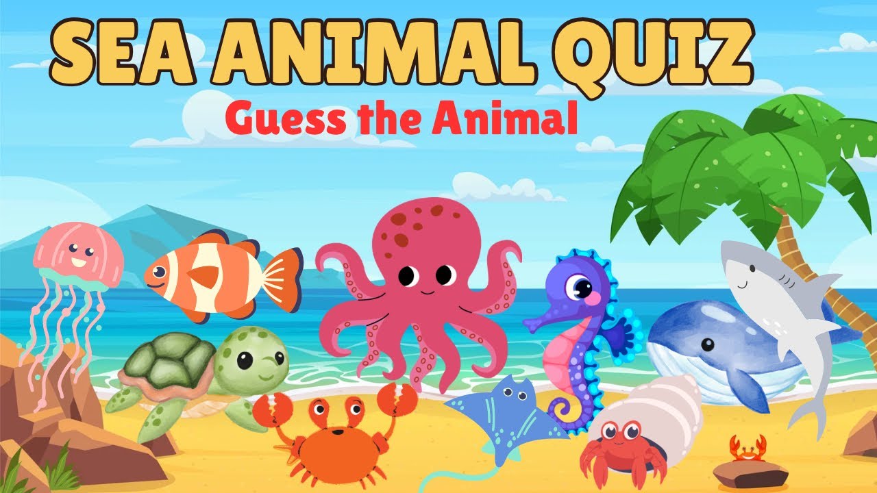 Ocean Quiz For Kids | Can You Name These Sea Animals? - YouTube