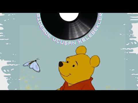 Grupsuz vitAmIn - Midemde uçuşan kelebekler