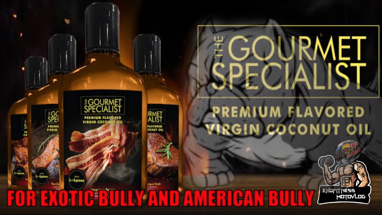 The Gourmet Specialist VCO For American Bully or Exotic bully peaky ...