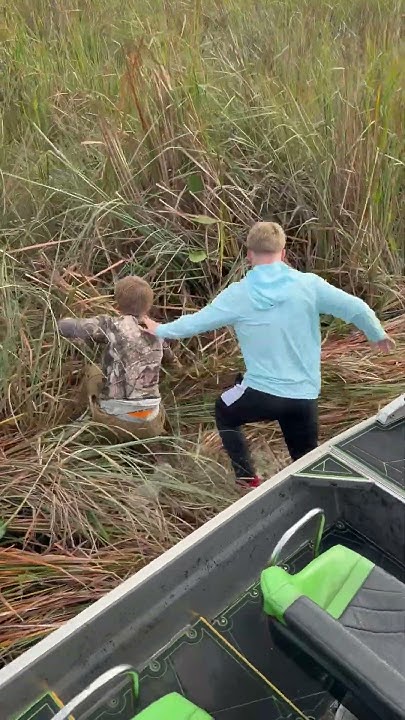 Catching Invasive Burmese Pythons on an airboat in the Florida ...