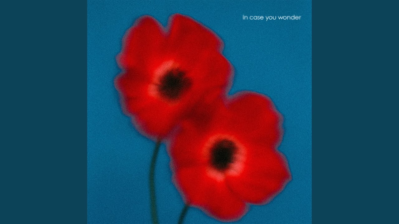 In Case You Wonder - YouTube