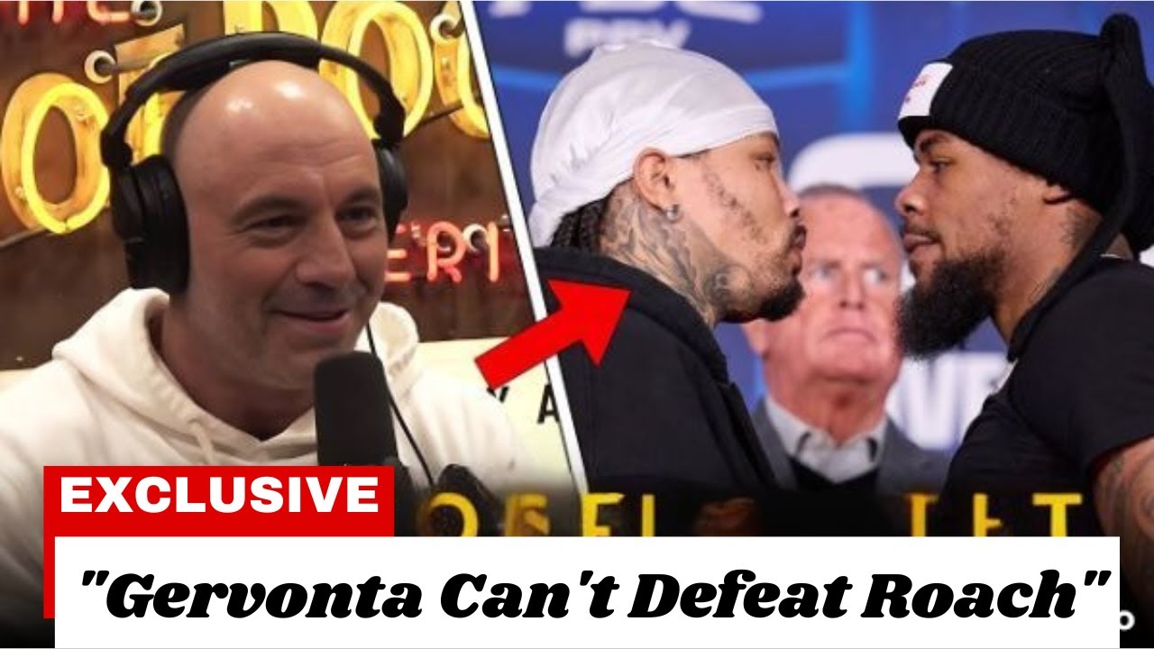 " JUST NOW"Joe Rogan Breaks Down Davis vs. Roach! - YouTube