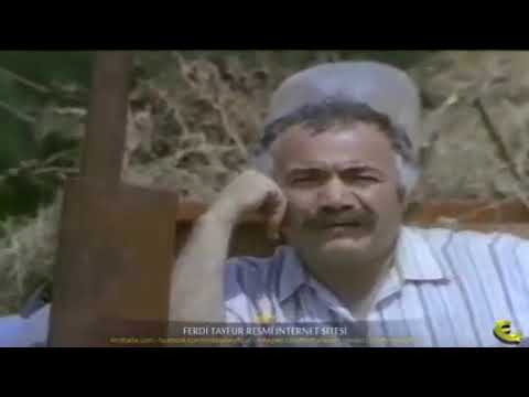 Ferdi Tayfur - Beni Böyle Sensiz