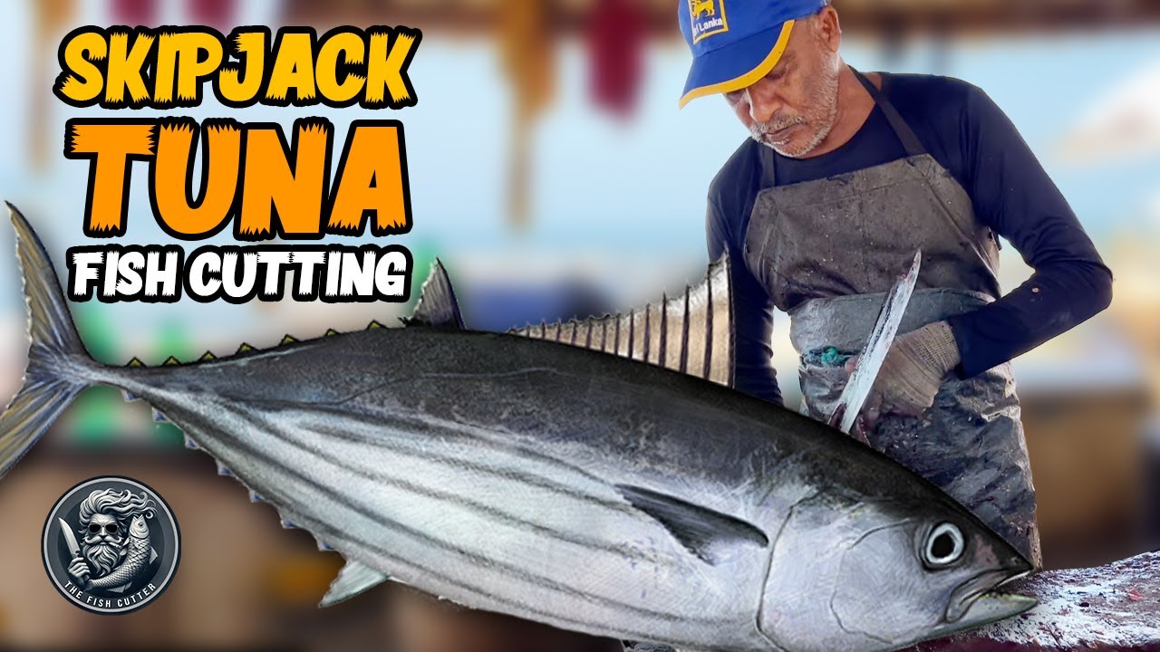 Skipjack Tuna Fast Fish Cutting Skills - YouTube