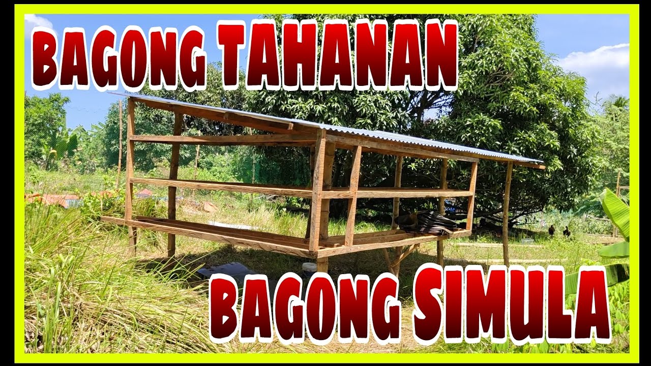BAGONG TAHANAN NG MGA NAGLALAKIHANG BASILAN NA MANOK - YouTube