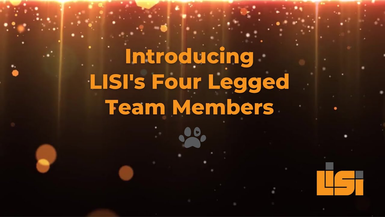 Meet Our Four Legged Team Members - YouTube