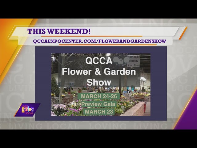 Ct Flower Show Hartford | Best Flower Site