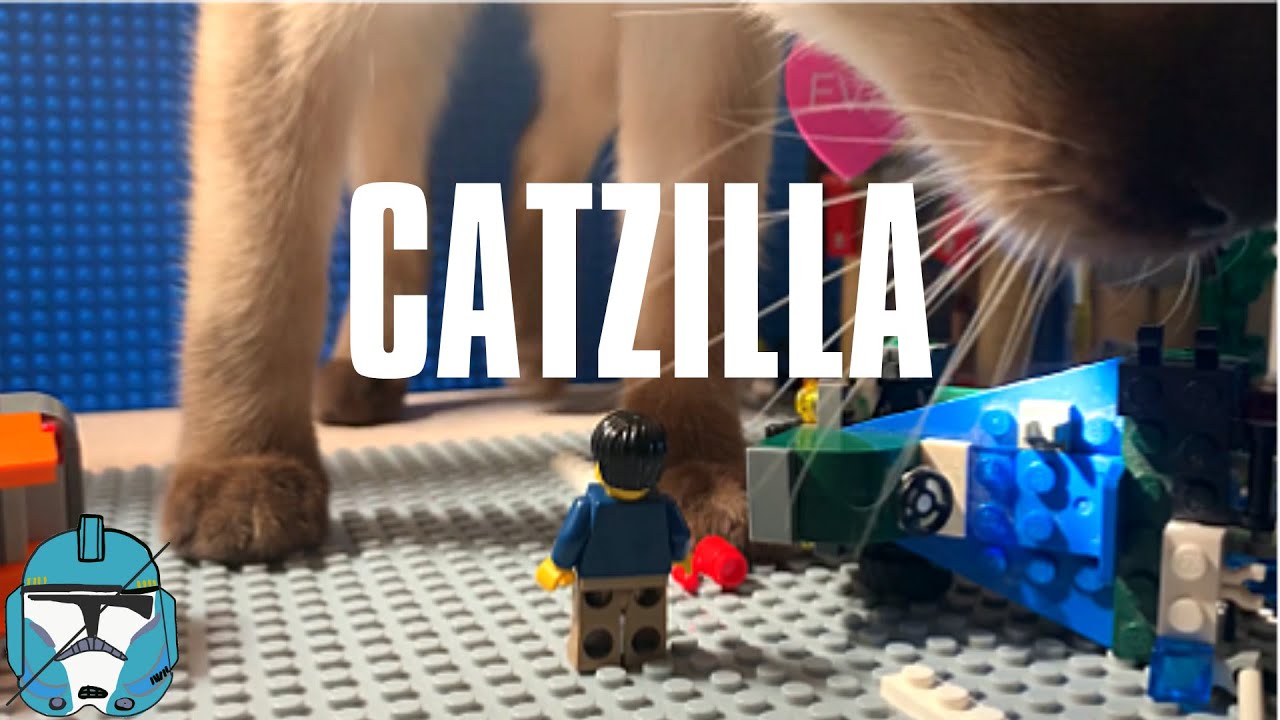 CATZILLA - YouTube