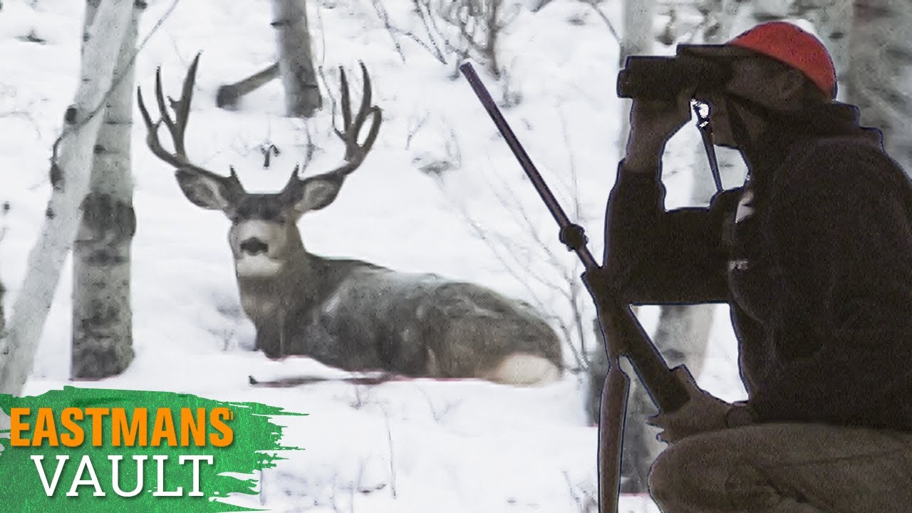 Hunting Backcountry Mule Deer with Guy Eastman - YouTube