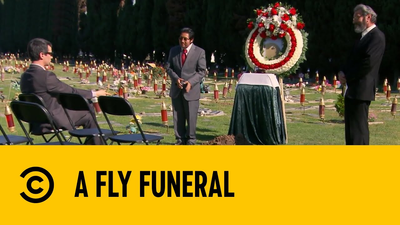 A Fly Funeral | Nathan For You | Comedy Central Africa - YouTube