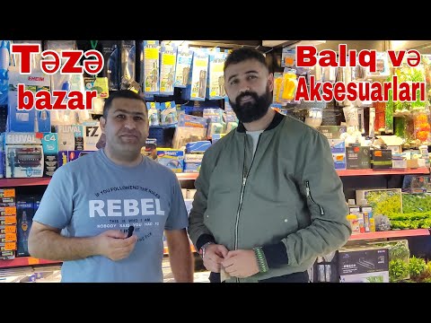 Təzə bazarda balıq və balıqlar haqda məlumat #balık #balıkavı #akvaryum
