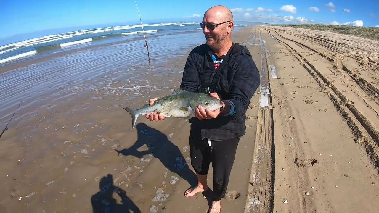 Big Australian Salmon and Flathead off Goolwa Beach - YouTube